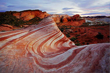 Nature in Stock - Galleries - Featured Photographers