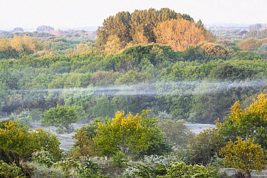 Nature in Stock - Highlights from the Collection - 2021