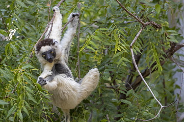 Nature in Stock - Highlights from the Collection - May 2022