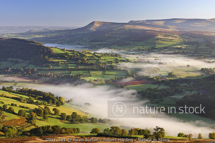 Nature in Stock