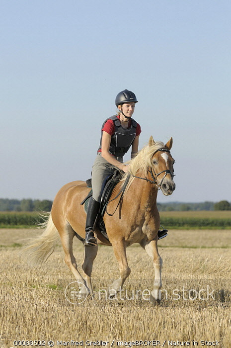 Horse And Rider Galloping