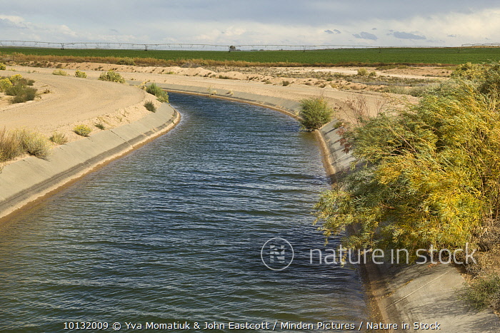Irrigation Canal Desert Stock Water Flows Through Irrigation Canals In