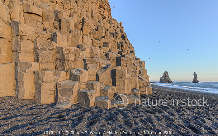 Nature in Stock