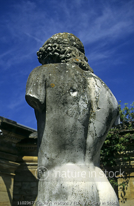 Acid Rain Eroding Statues In Rome Acid Precipitation: Definition,