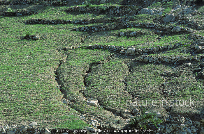 Rill Erosion And Gully Erosion