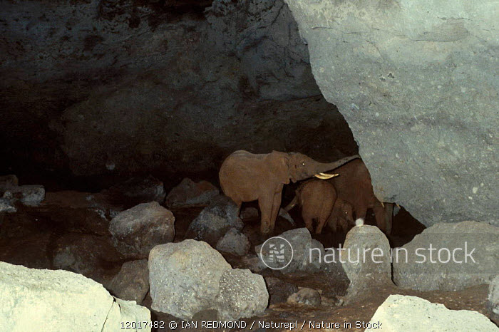 Mount Elgon Kitum Cave