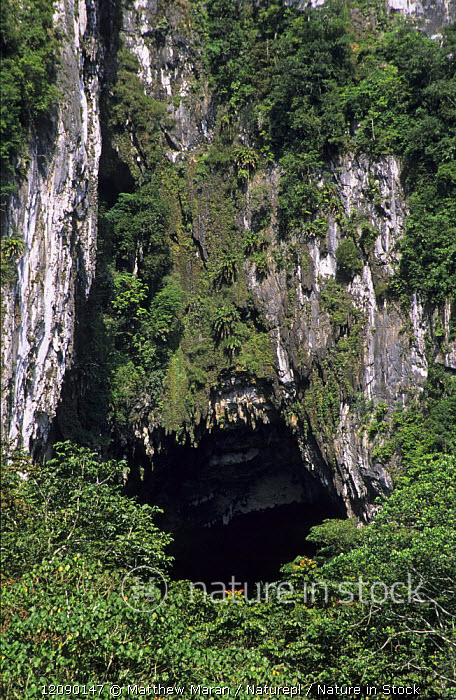 Largest Cave Opening