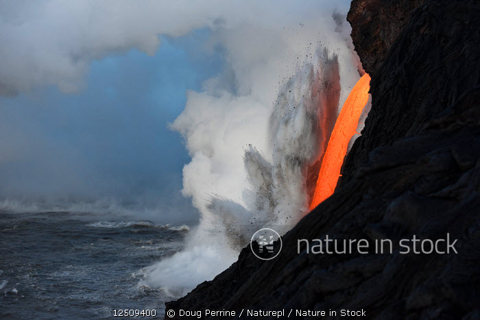 Nature in Stock
