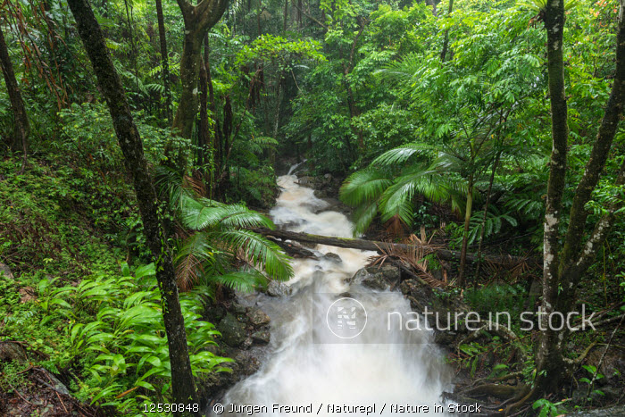 Nature in Stock
