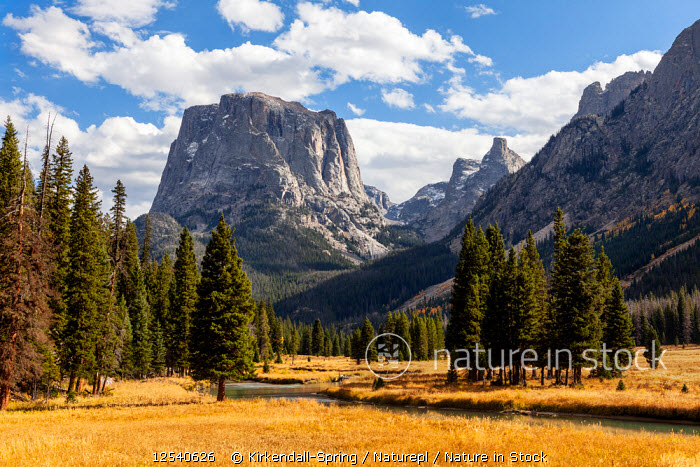 National Wilderness Areas In Wyoming National Wilderness Bighorn