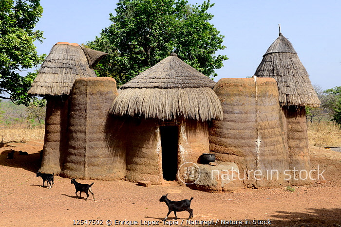 Traditional African Houses African Tigress
