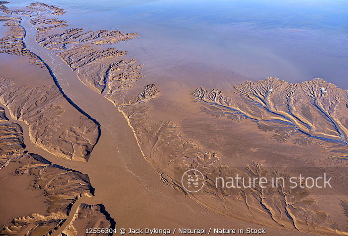 Colorado River Delta Dry